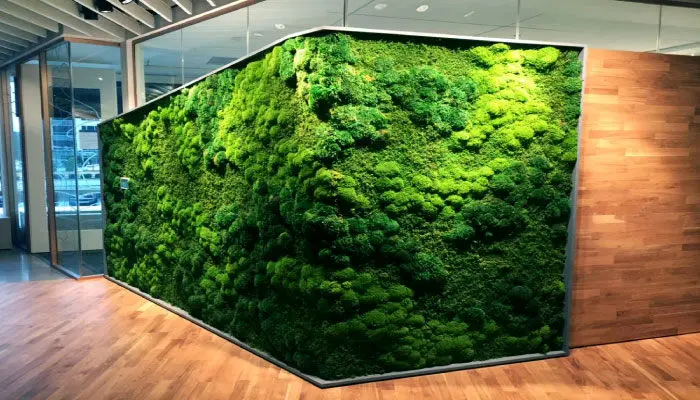 آشنایی با ماس وال در دکوراسیون داخلی ؛ نسل جدید دیوارهای سبز